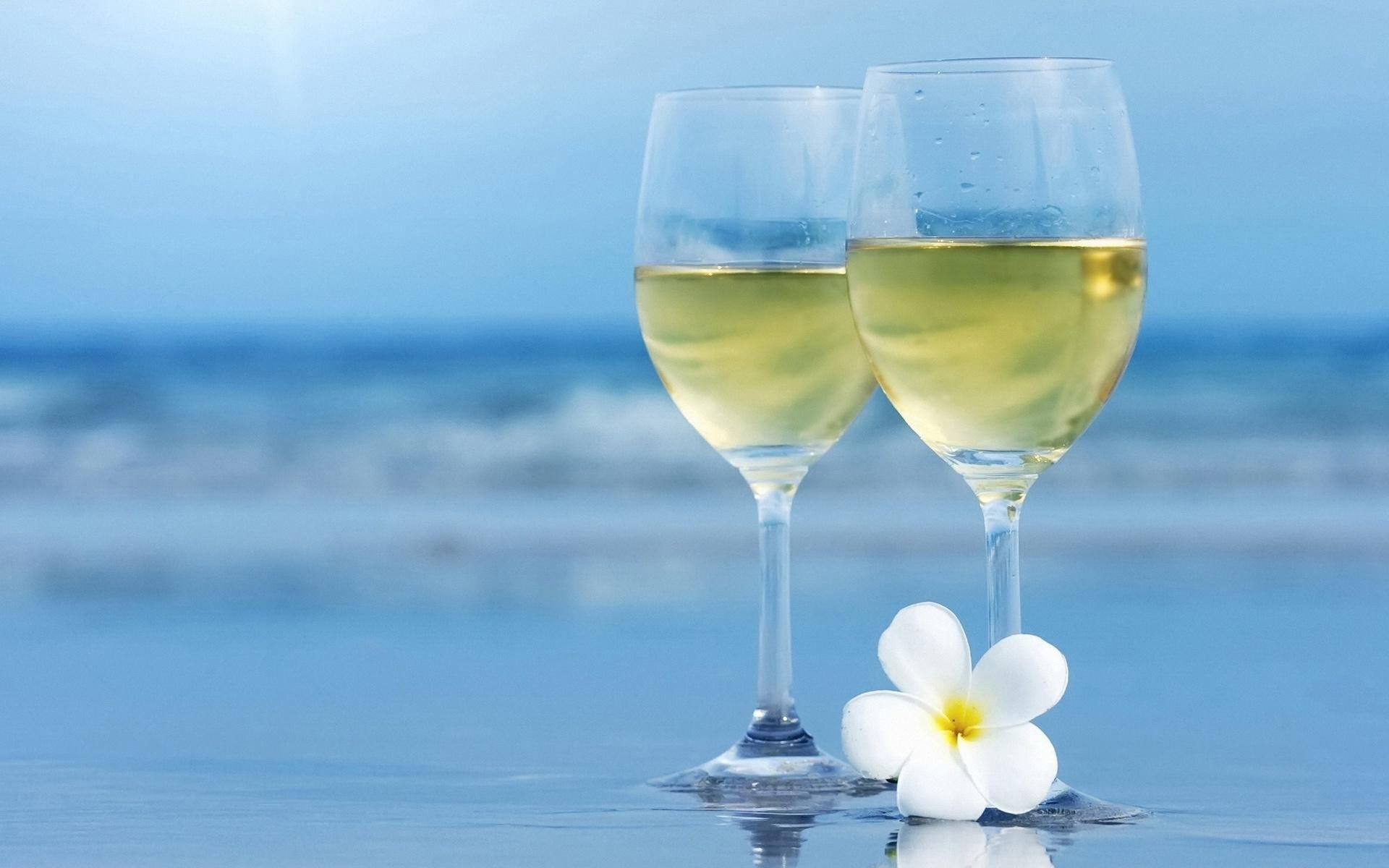 Wines by the Waves
